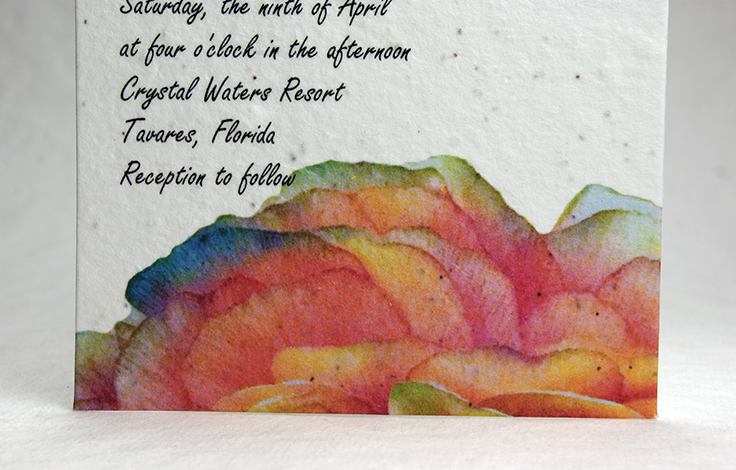 Ranunculus Seed Paper Wedding Invitations Wildflower Seeded Papers 